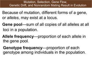 Mechanism of Evolution 1.pptx