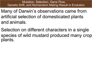 Mechanism of Evolution 1.pptx