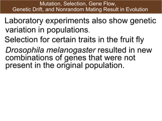 Mechanism of Evolution 1.pptx