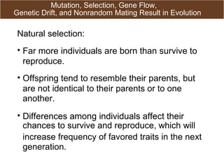 Mechanism of Evolution 1.pptx