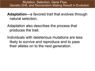 Mechanism of Evolution 1.pptx