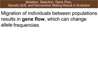 Mechanism of Evolution 1.pptx