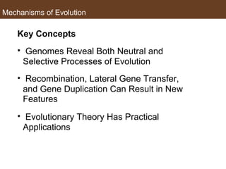 Mechanism of Evolution 1.pptx