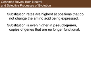 MECHANISM OF EVOLUTUION.ppt........................ | PPT