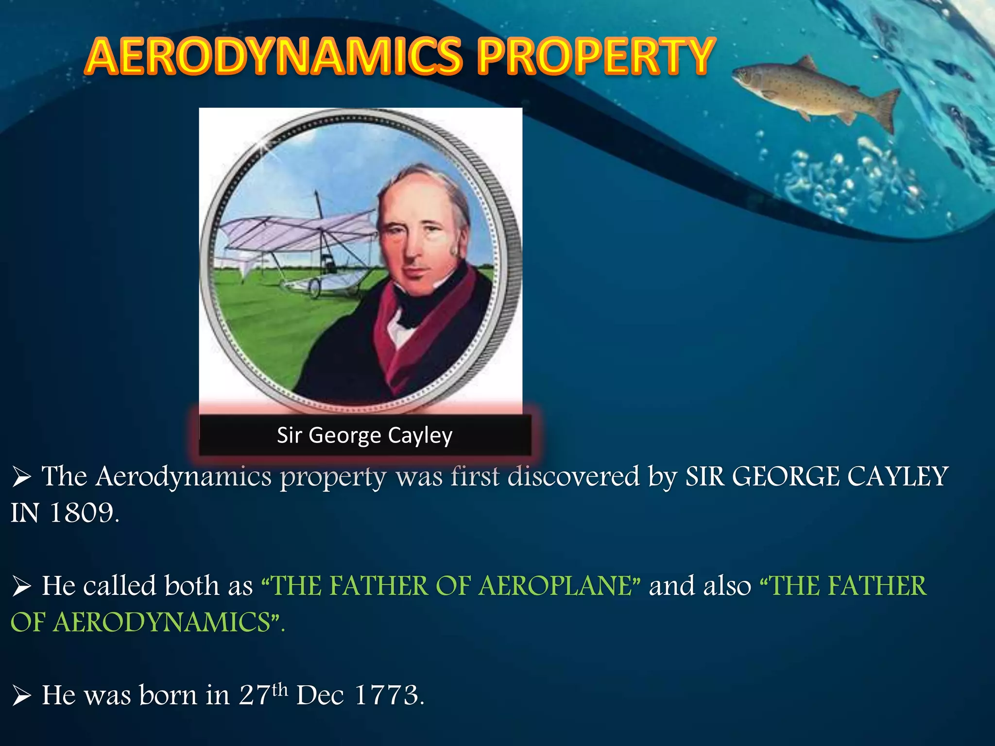 Mechanism of flight in bird | PPTX