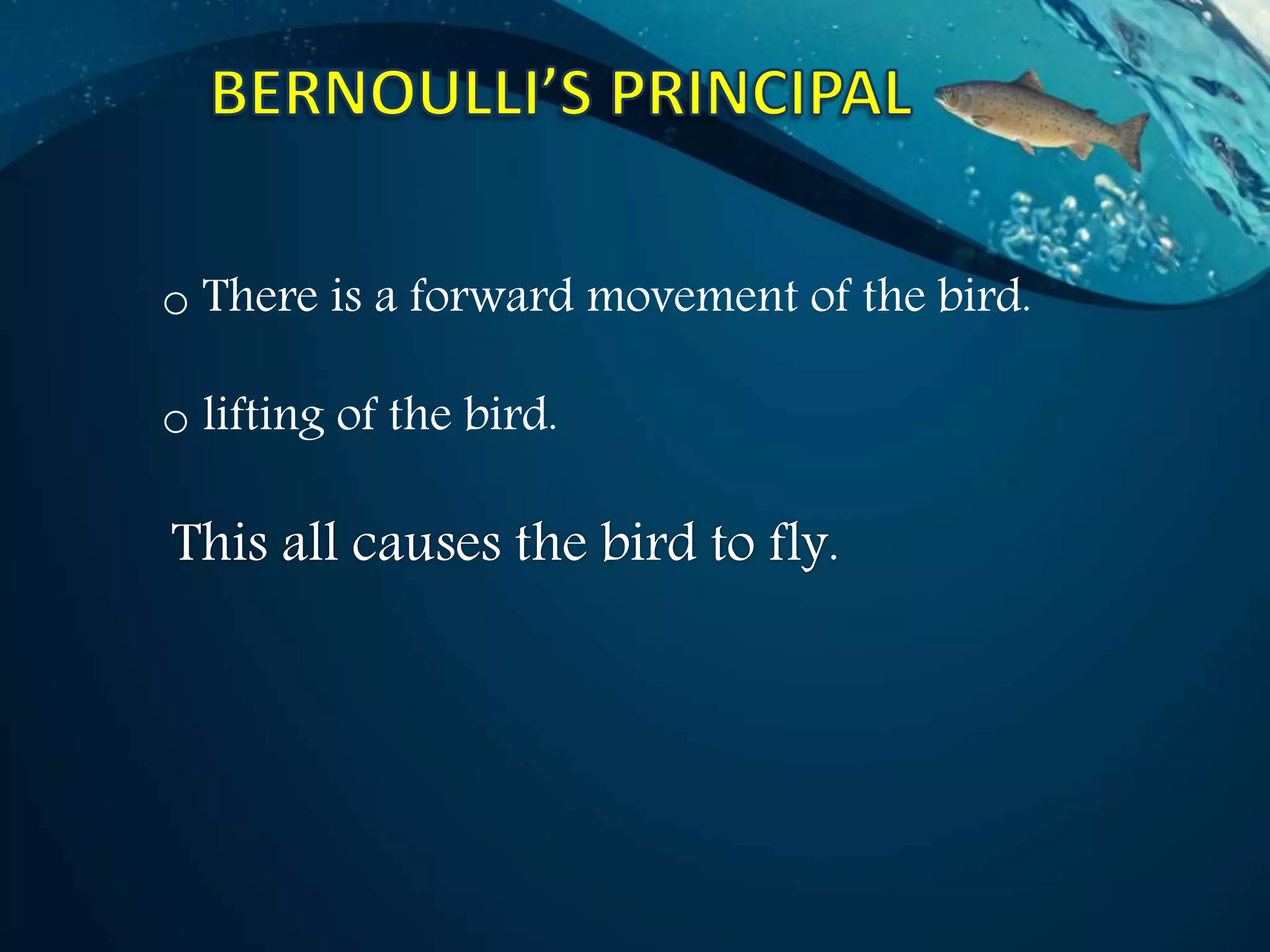 Mechanism of flight in bird | PPTX