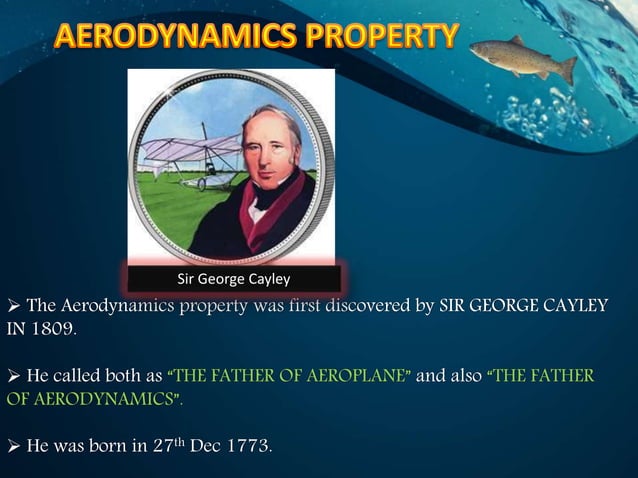 Mechanism of flight in bird | PPTX | Birdwatching | Hobbies & Interests