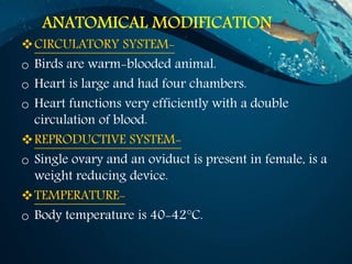 Mechanism of flight in bird | PPTX