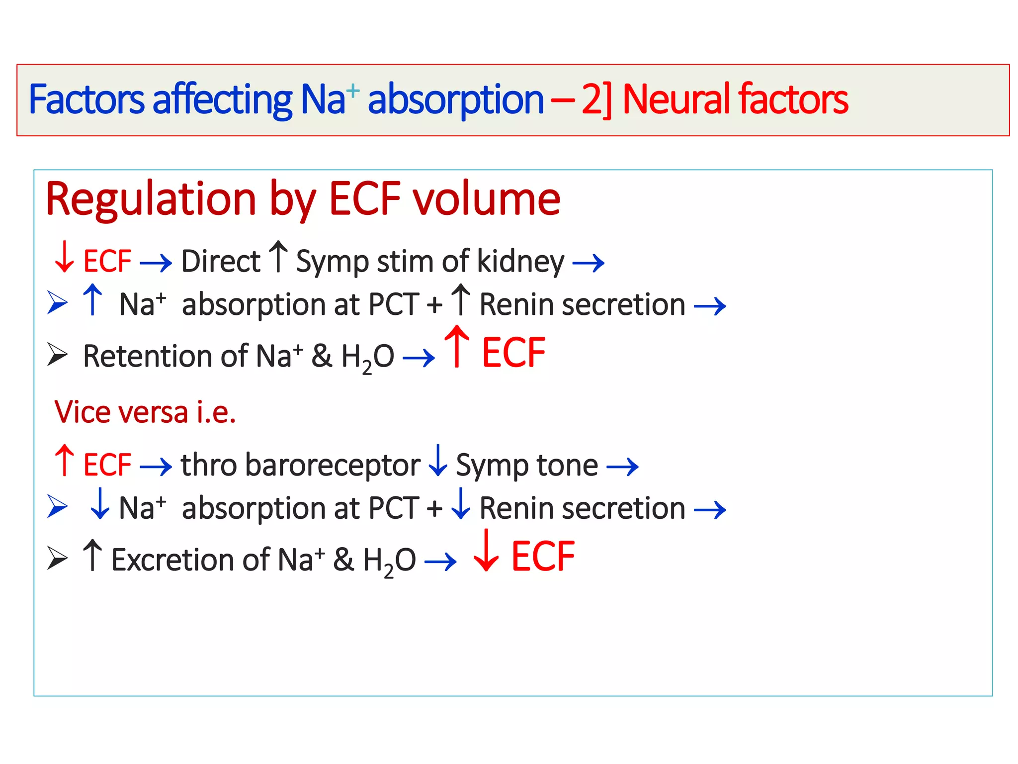 Mechanism of formation of urine | PPTX