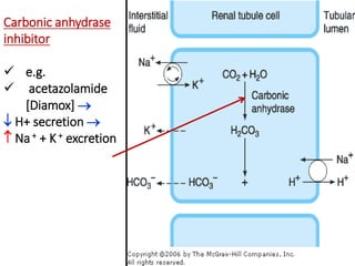 Mechanism of formation of urine | PPTX