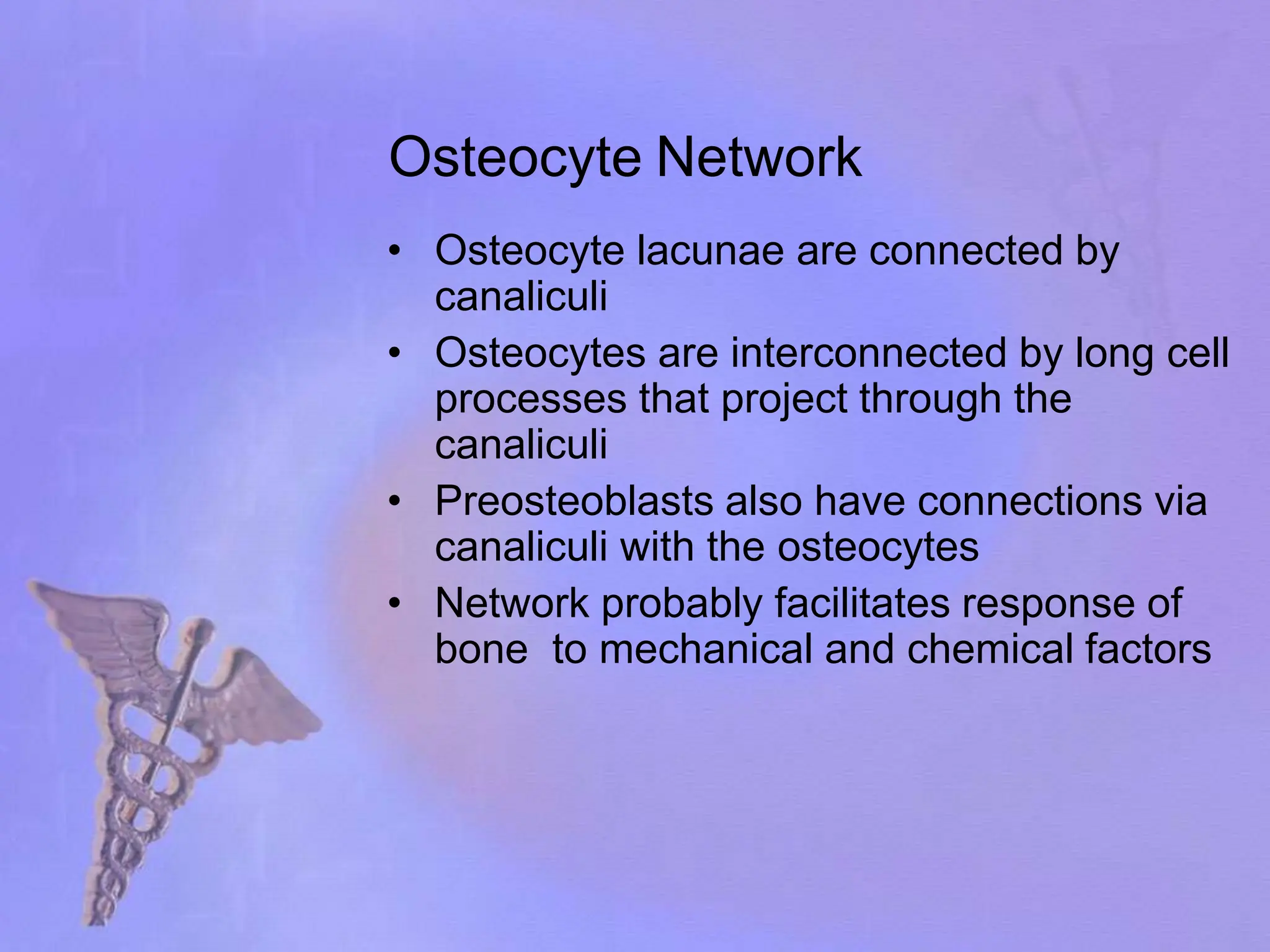 Mechanism of fracture healing and metabolism.pptx