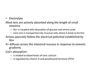 Mechanism of gastrointestinal absorption | PPTX | Chemistry | Science