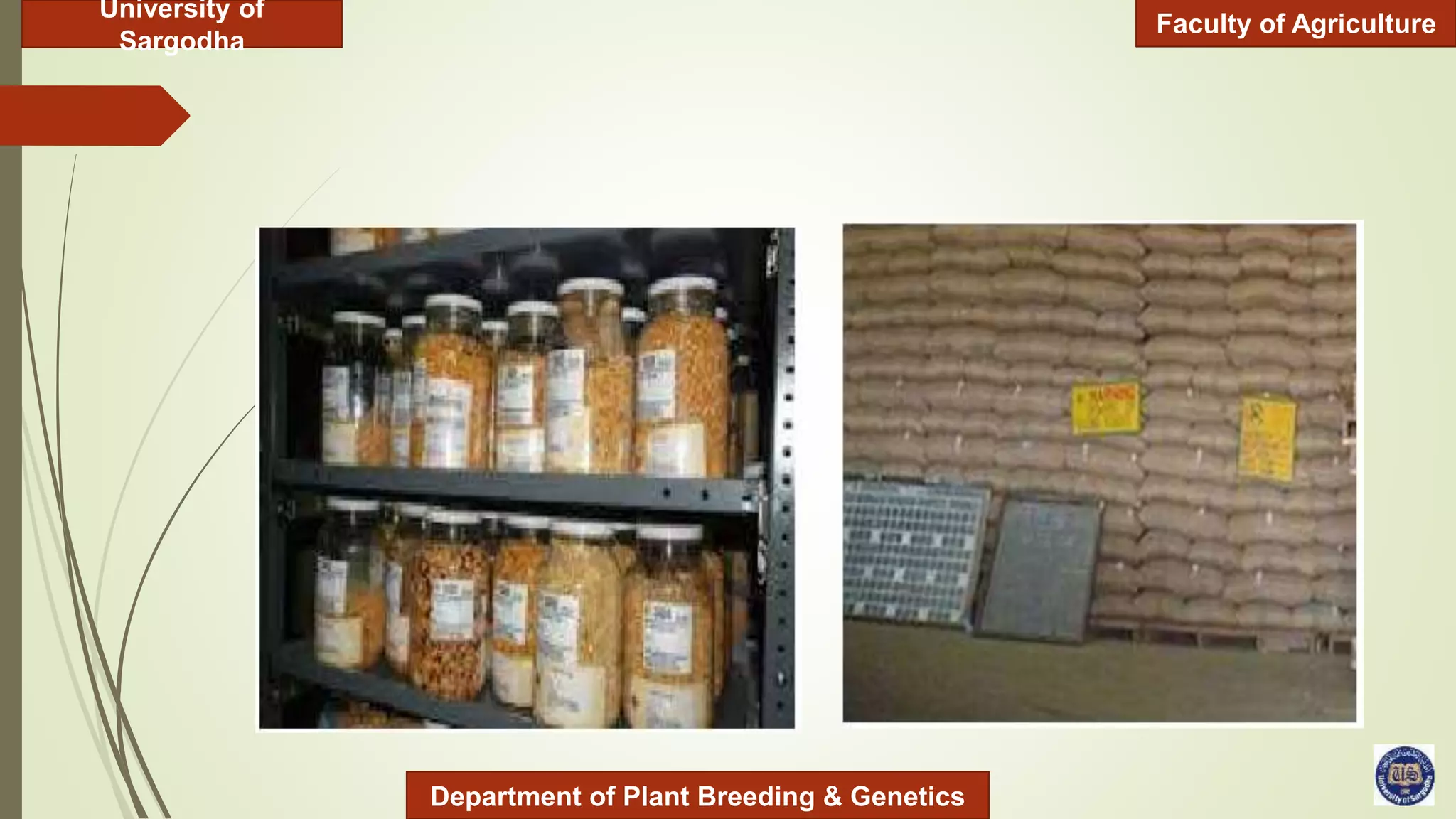 Mechanism of gene banking or Plant Genetic Resources | PPTX