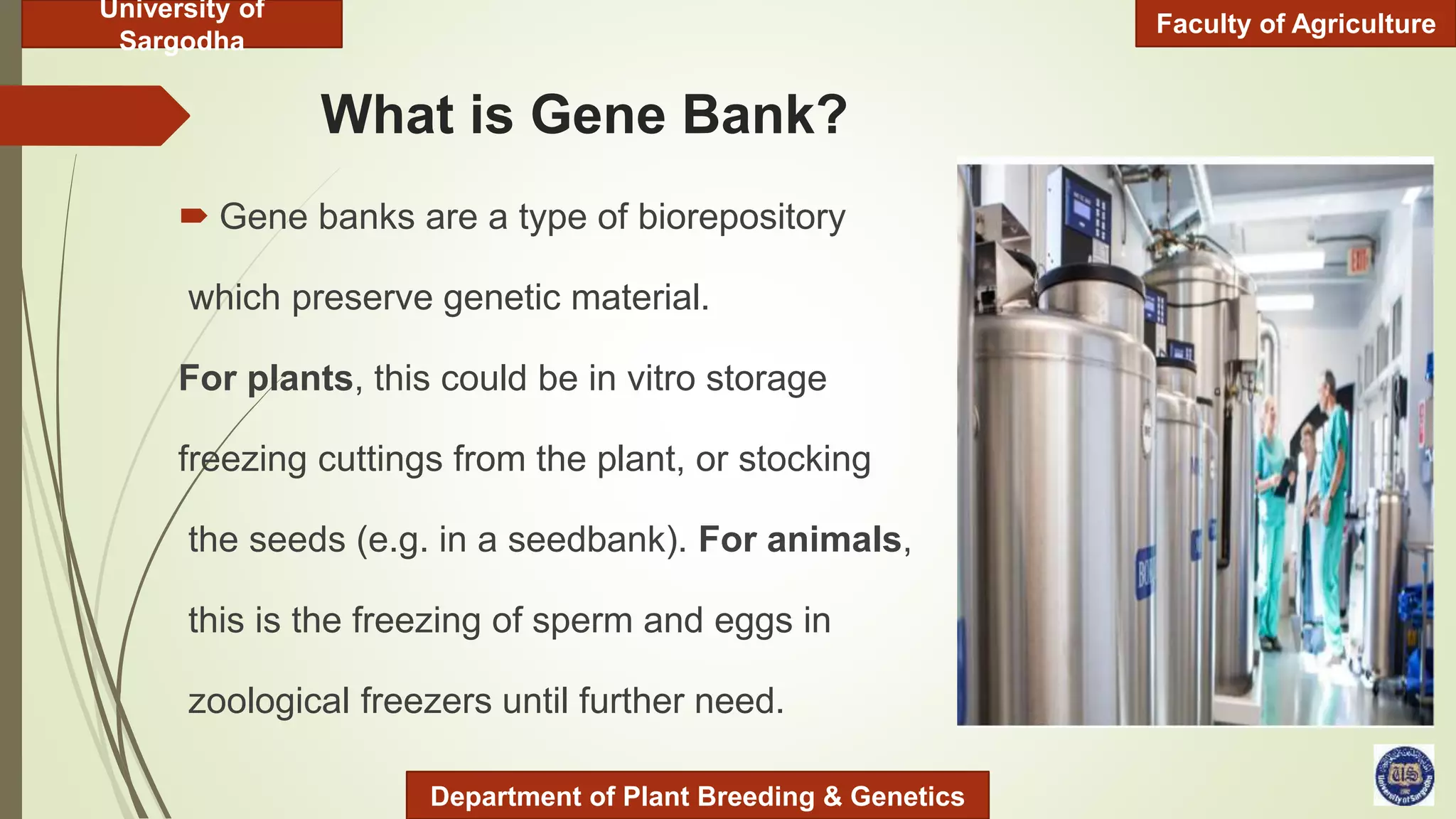 Mechanism of gene banking or Plant Genetic Resources | PPTX