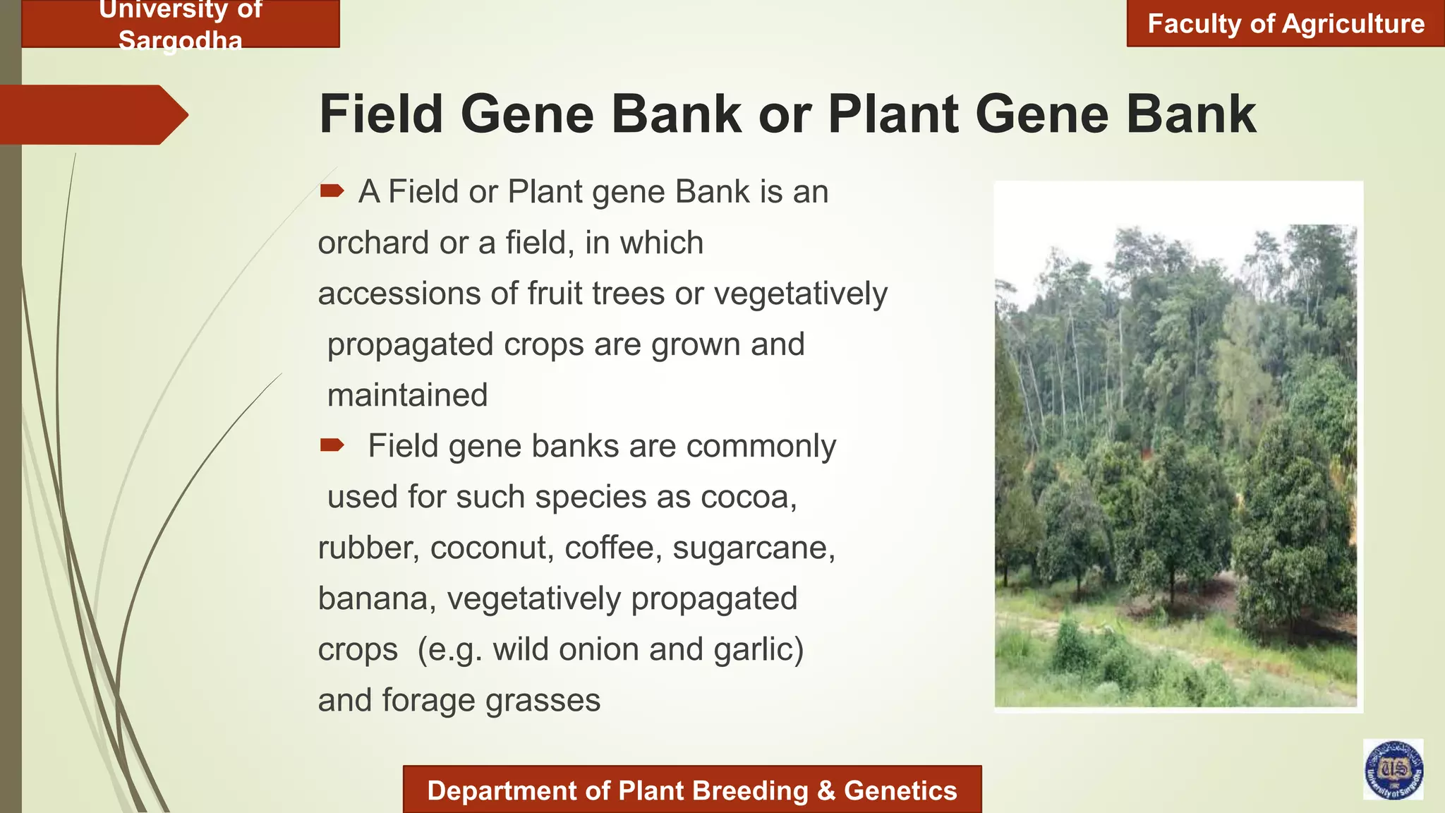 Mechanism of gene banking or Plant Genetic Resources | PPTX