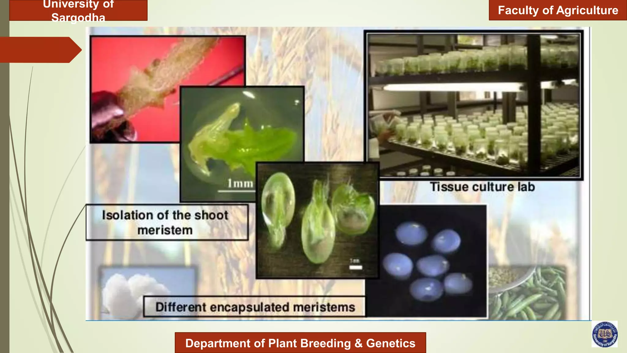 Mechanism of gene banking or Plant Genetic Resources | PPTX