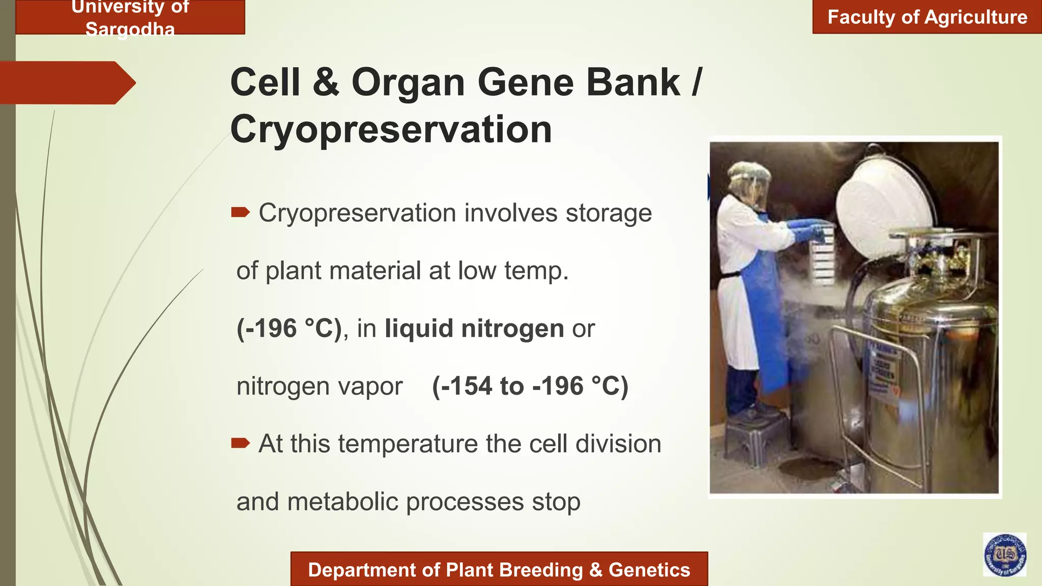 Mechanism of gene banking or Plant Genetic Resources | PPTX