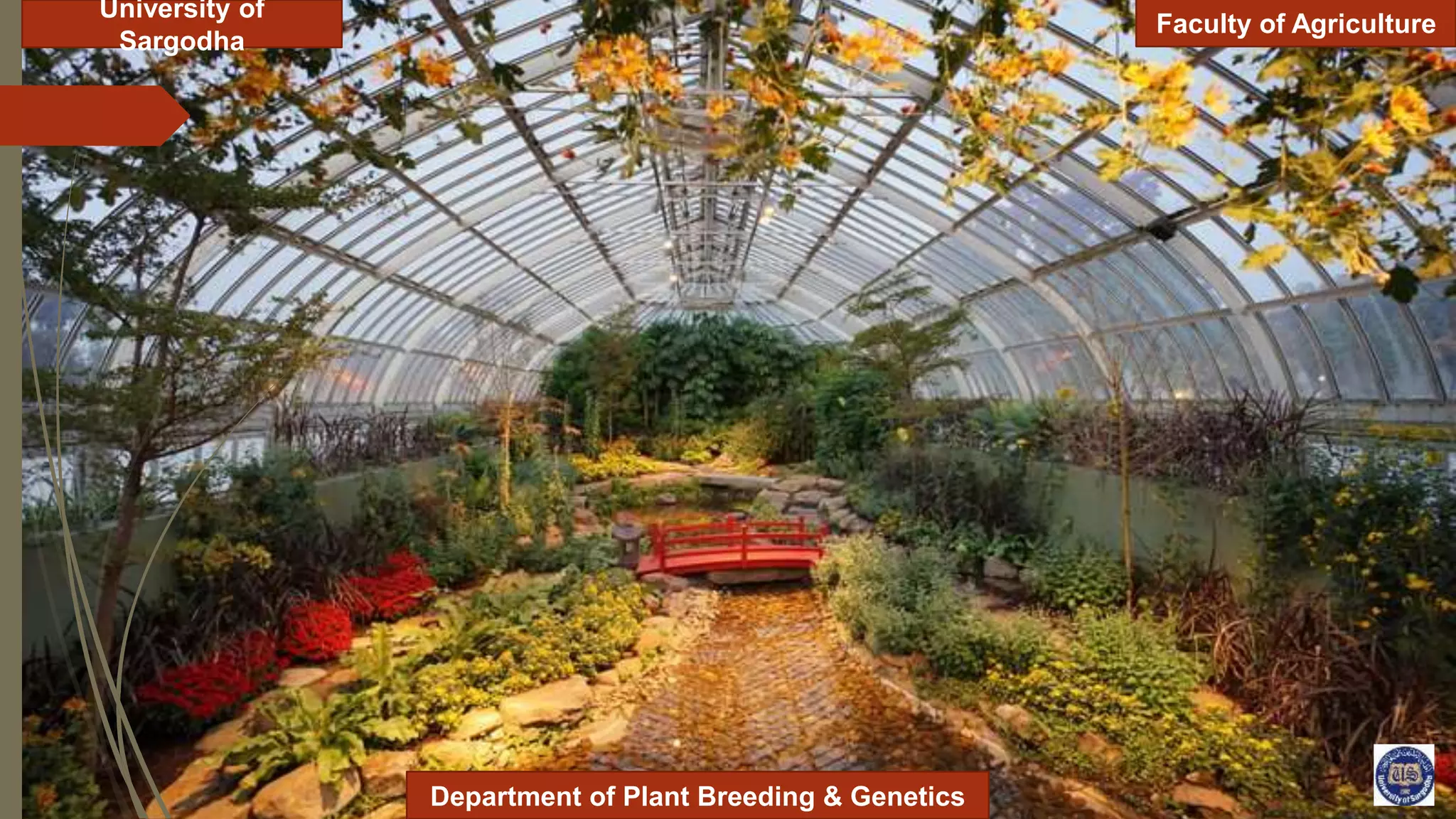 Mechanism of gene banking or Plant Genetic Resources | PPTX