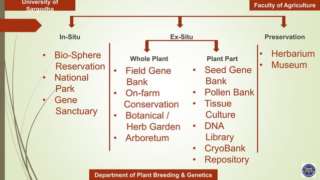Mechanism of gene banking or Plant Genetic Resources | PPT