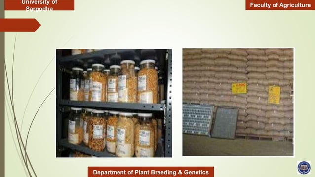 Mechanism of gene banking or Plant Genetic Resources | PPT