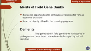 Mechanism of gene banking or Plant Genetic Resources | PPTX