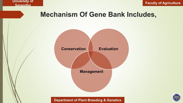 Mechanism of gene banking or Plant Genetic Resources | PPT