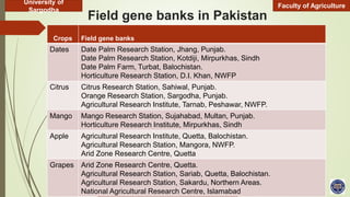 Mechanism of gene banking or Plant Genetic Resources | PPTX