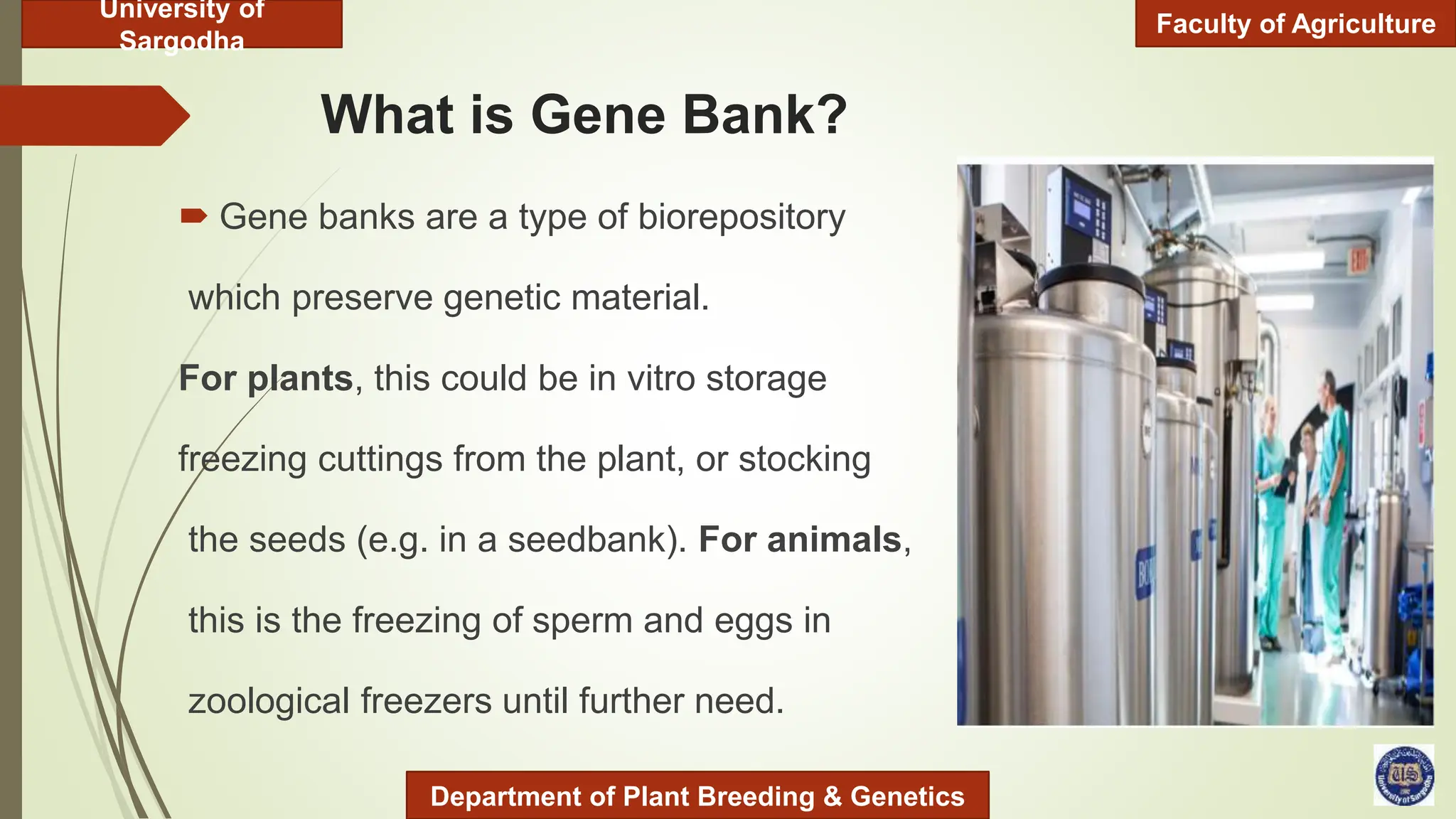 Mechanism of gene banking in application.pptx