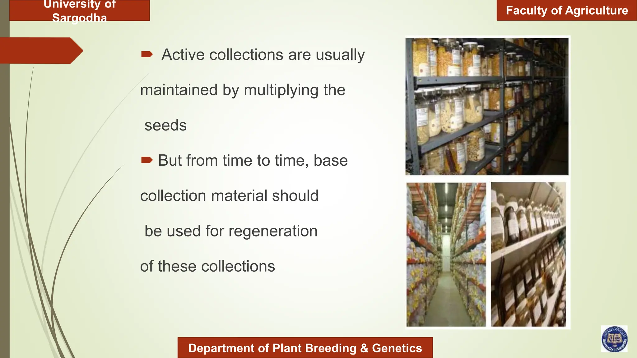 Mechanism of gene banking in application.pptx