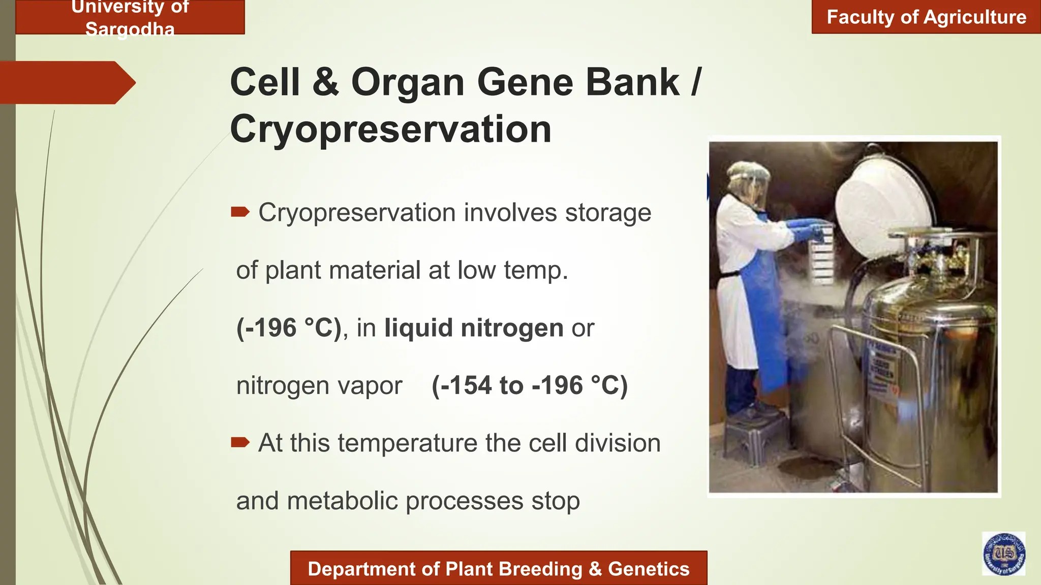 Mechanism of gene banking in application.pptx