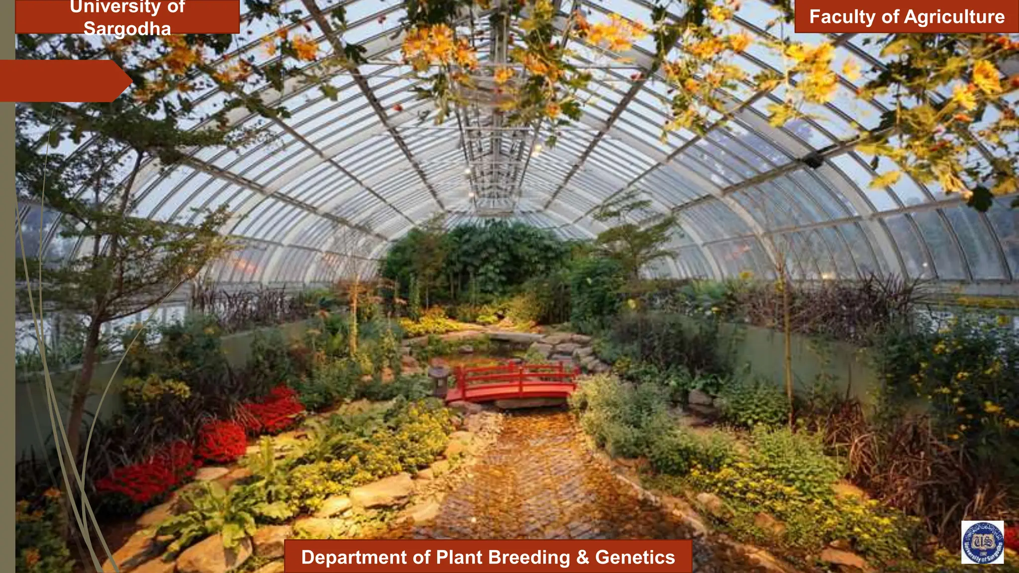 Mechanism of gene banking in application.pptx