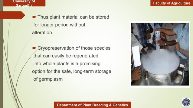 Mechanism of gene banking in application.pptx
