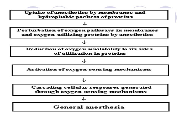 Mechanism of general anaesthesia at molecular level.