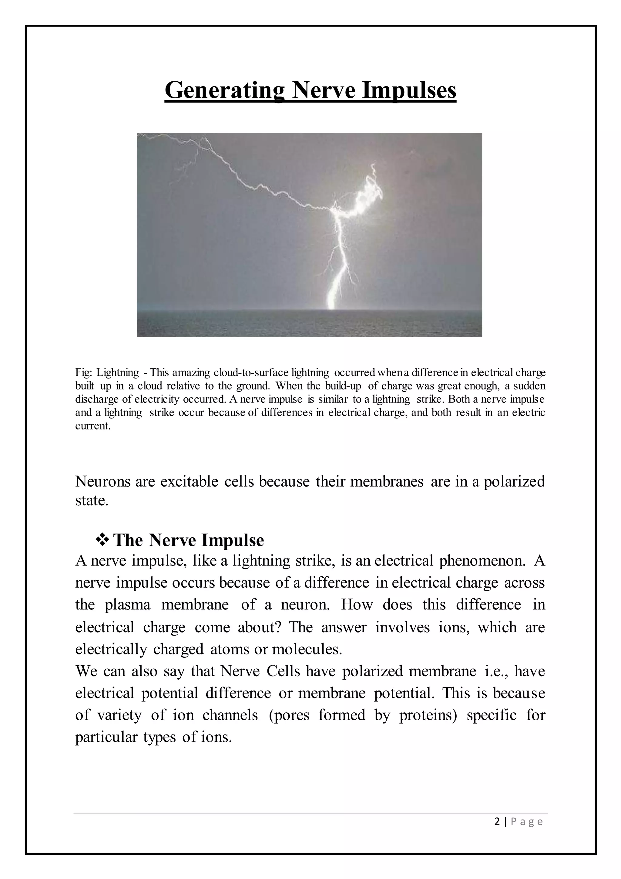 Mechanism of Generation and Propagation of Nerve Impulse.docx | Biological Sciences | Science