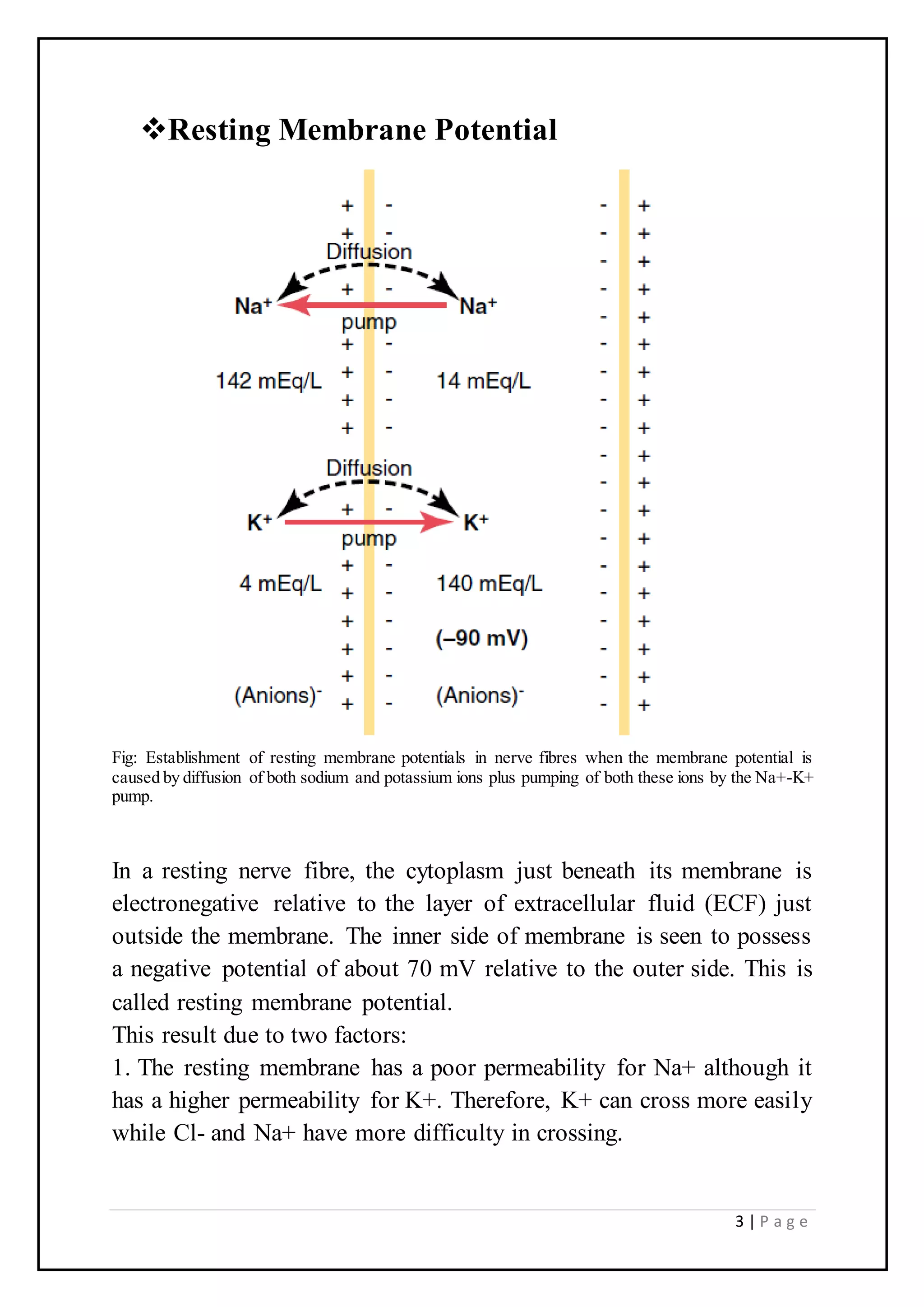 Mechanism of Generation and Propagation of Nerve Impulse.docx