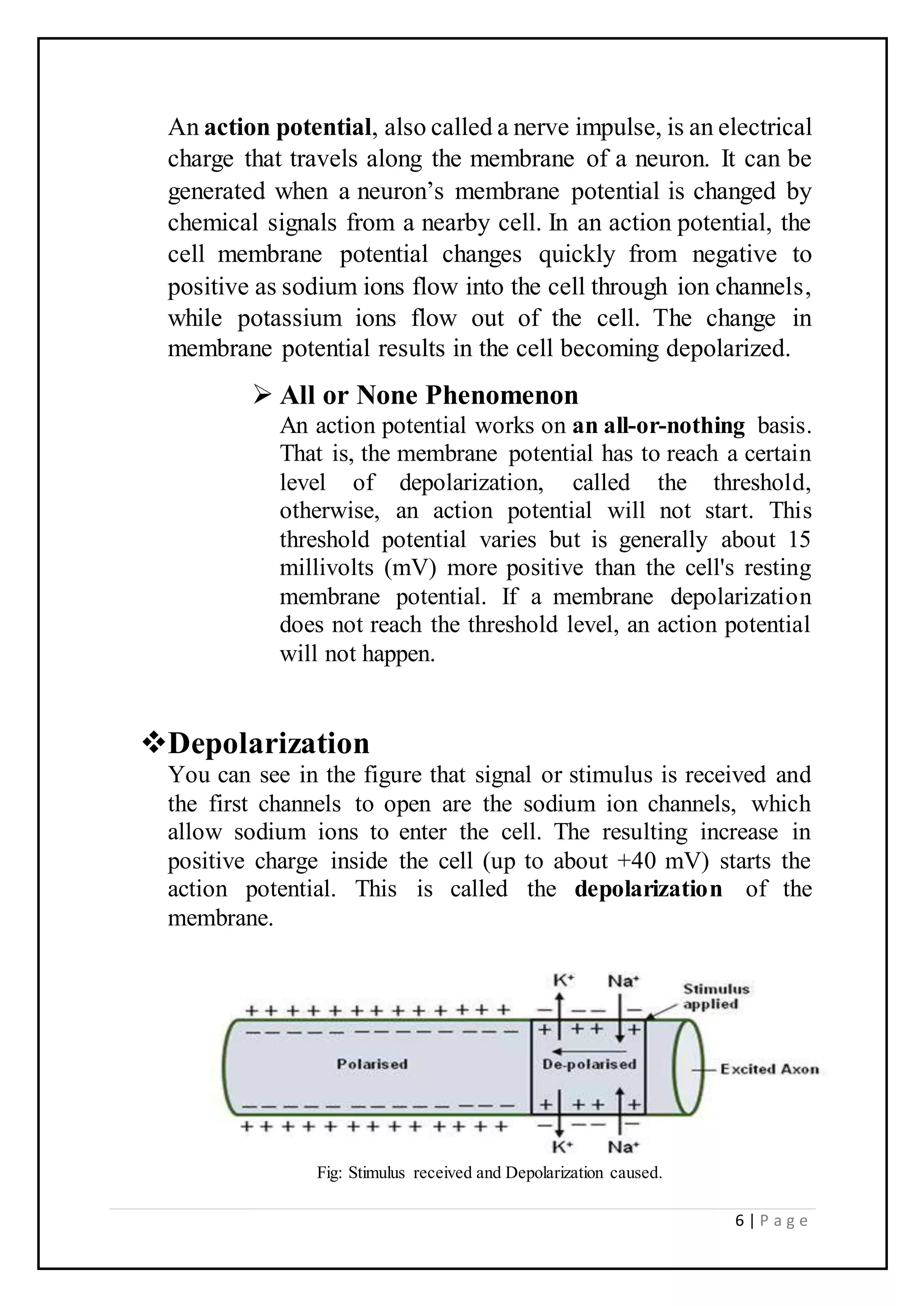 Mechanism of Generation and Propagation of Nerve Impulse.docx | Biological Sciences | Science