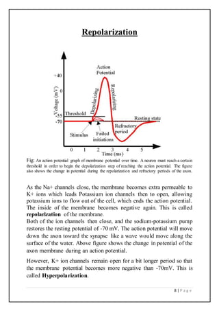 Mechanism of Generation and Propagation of Nerve Impulse.docx ...