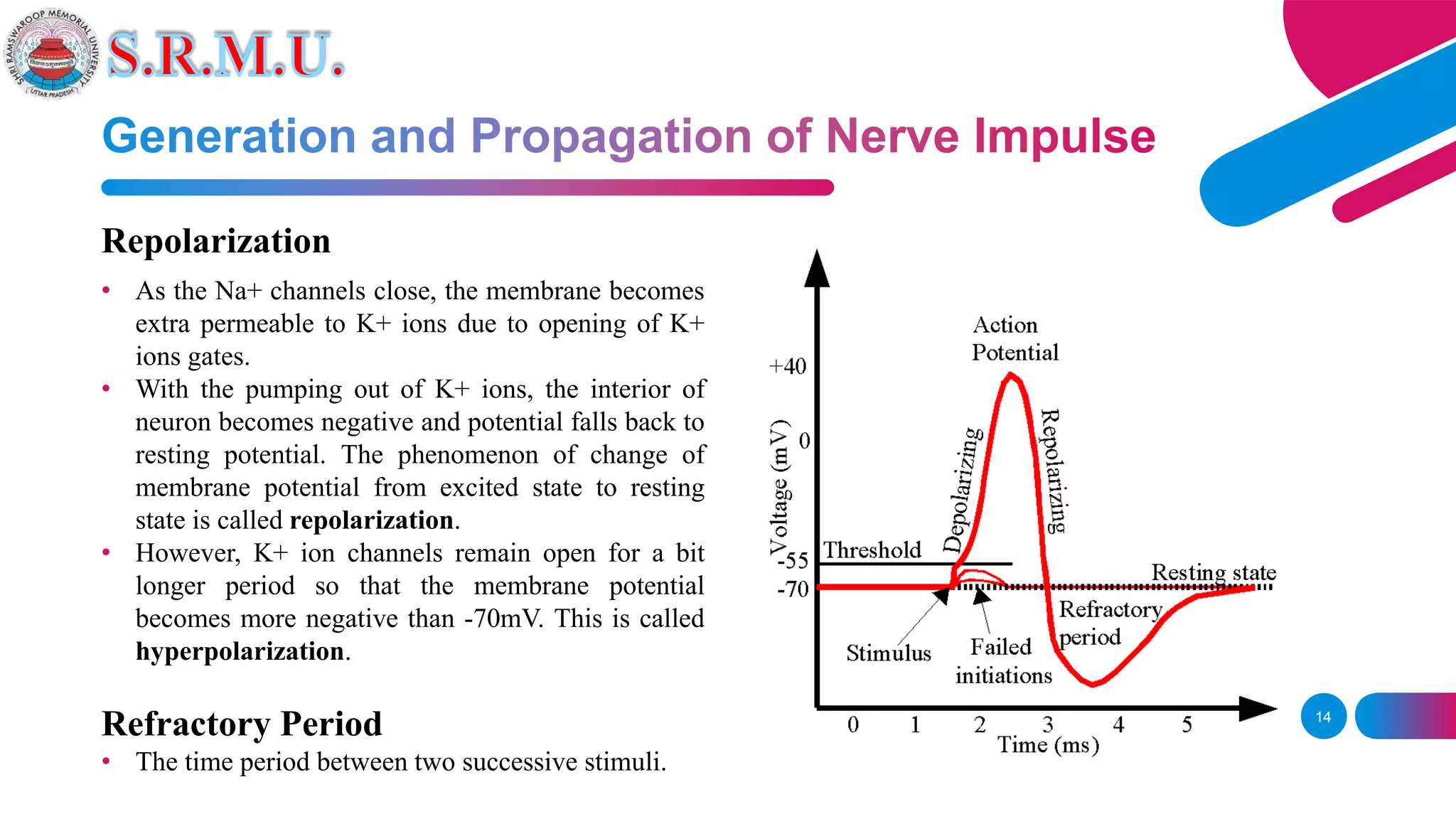 Mechanism of Generation and Propagation of Nerve Impulse.pptx