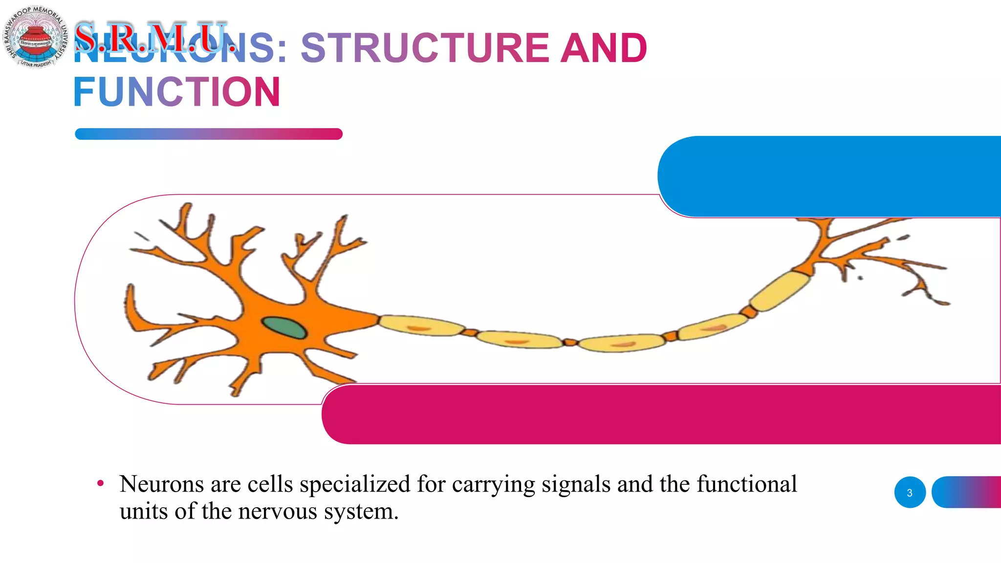 Mechanism of Generation and Propagation of Nerve Impulse.pptx