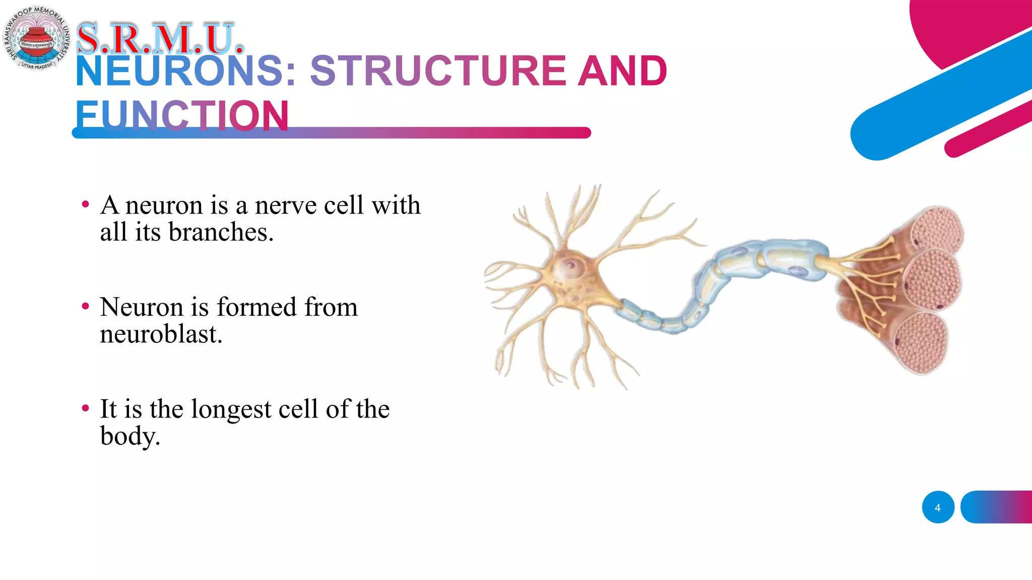 Mechanism of Generation and Propagation of Nerve Impulse.pptx