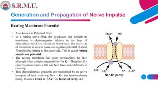 Mechanism of Generation and Propagation of Nerve Impulse.pptx