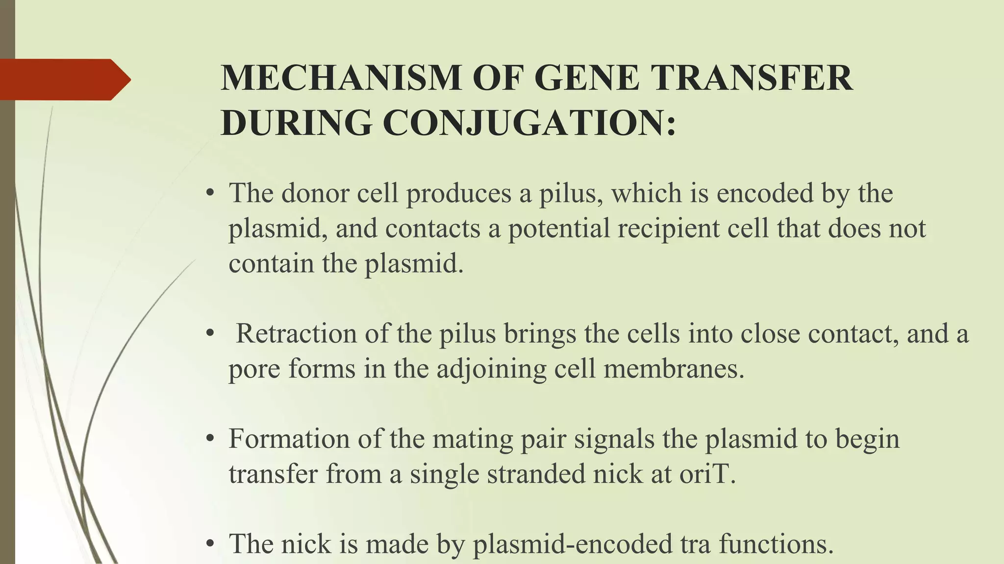 Mechanism of gene transfer.pptx
