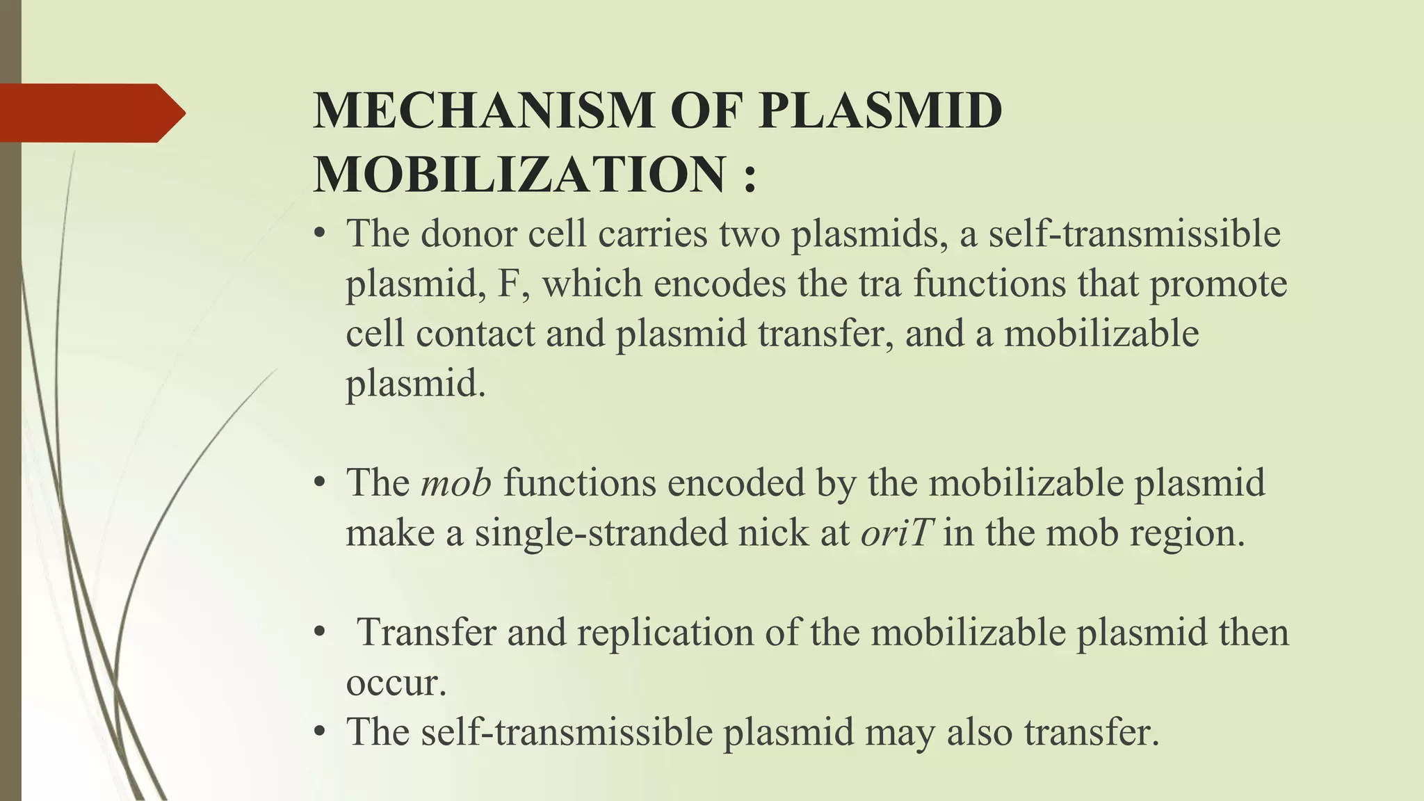 Mechanism of gene transfer.pptx