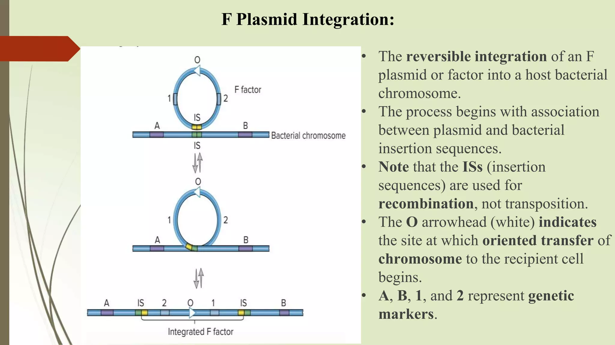 Mechanism of gene transfer.pptx