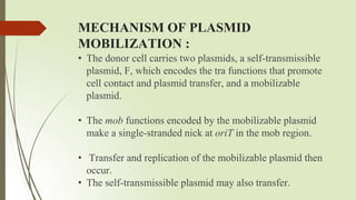 Mechanism of gene transfer.pptx