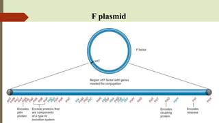 Mechanism of gene transfer.pptx