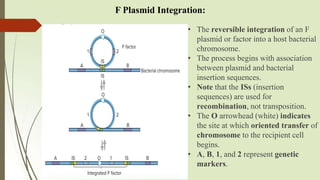 Mechanism of gene transfer.pptx