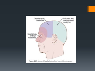 Mechanism of Headache.pptx