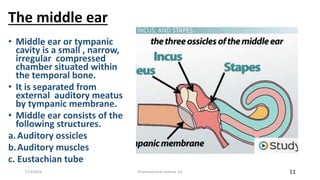 Mechanism of Hearing (presentation) | PPTX