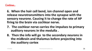 Mechanism of Hearing (presentation) | PPTX